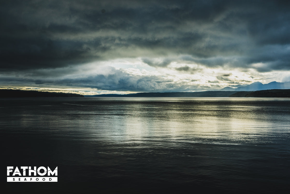 Featured Fishing Vessell: Taryn Rose – Fathom Seafood