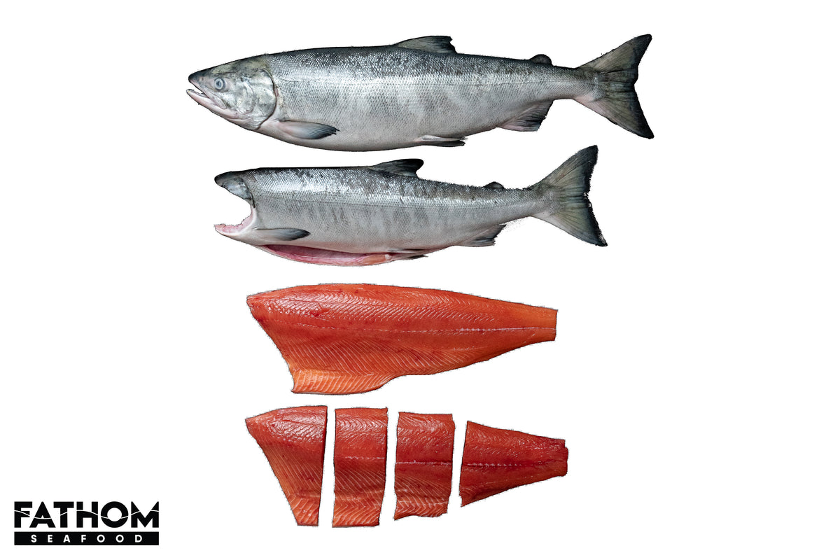 Live Dungeness Crab - Missing Leg | Fathom Seafood