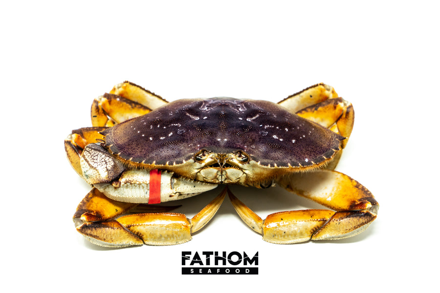 Products – Fathom Seafood